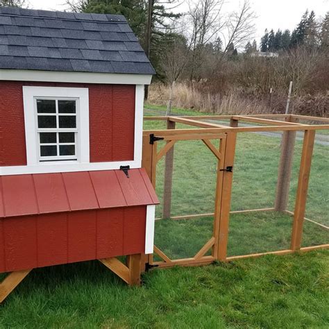 How to build a sturdy, critter-proof chicken coop for backyard layers ...